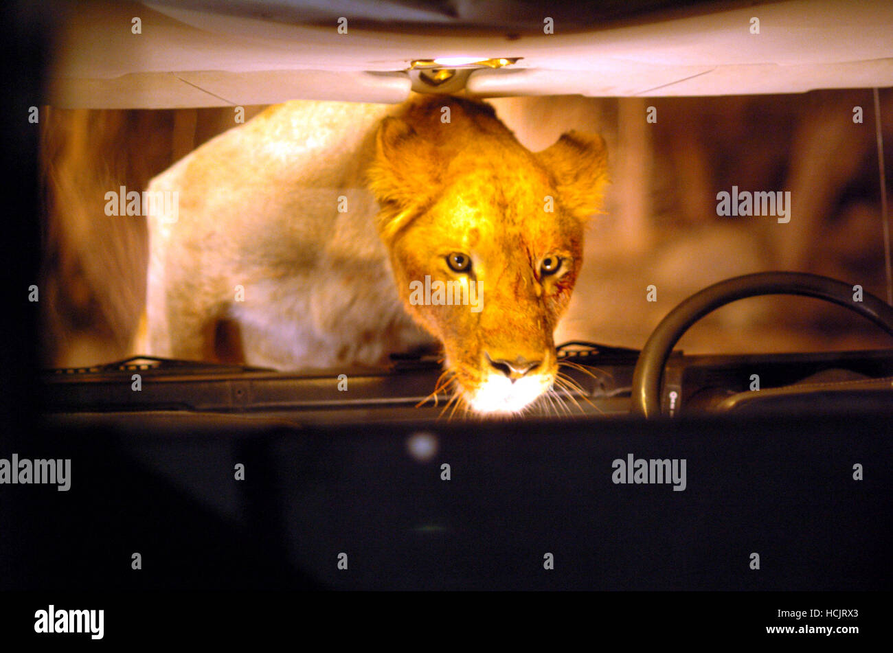 PREY, 2007. ©Weinstein Company/Courtesy Everett Collection Stock Photo ...