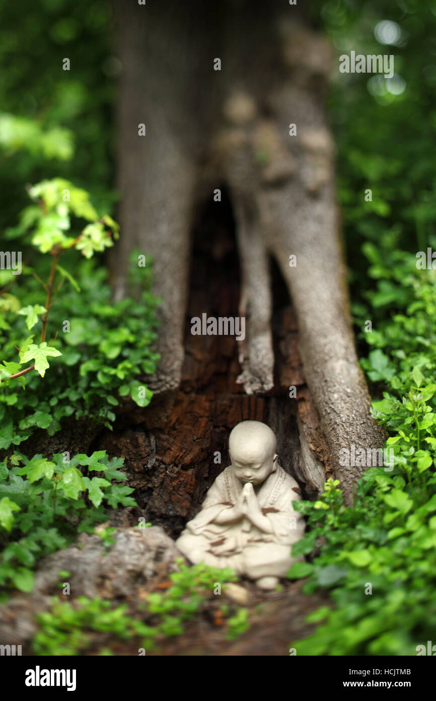 A buddha statue seen on the grounds of Osmosis Day Spa Sanctuary in ...