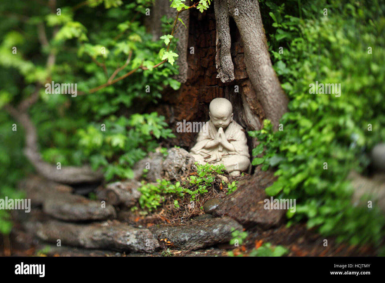 A buddha statue seen on the grounds of Osmosis Day Spa Sanctuary in ...