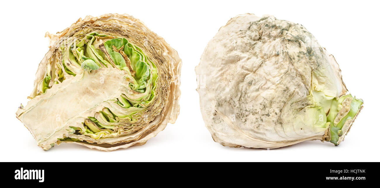 Spoiled rotten cabbage with mold isolated on white background Stock ... Spoiled rotten cabbage with mold isolated on white background Stock ...