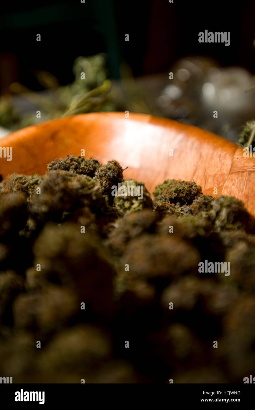 A bowl in shallow focus of trimmed medical marijuana buds in Northern ...