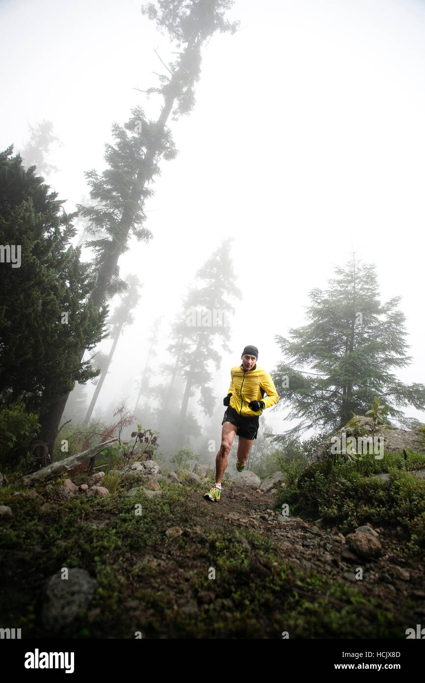 Ultrarunner hi-res stock photography and images - Alamy
