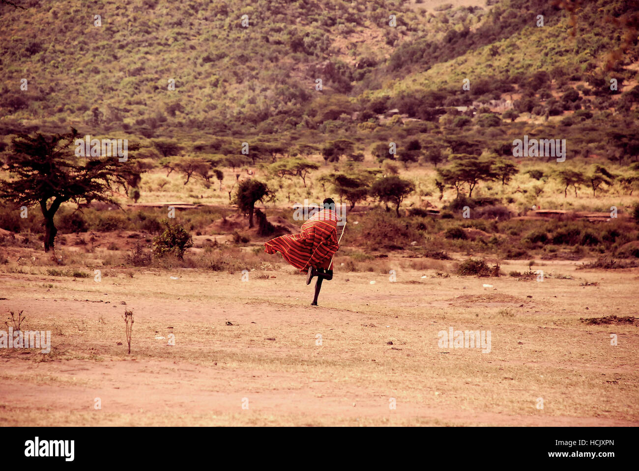 Masai running in the savanna, Masai Mara National Reserve, Kenya Stock ...