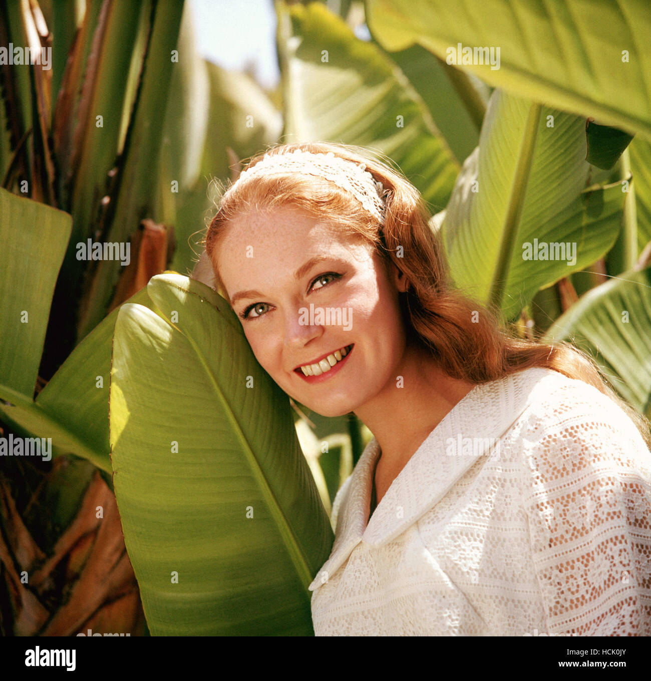 A PATCH OF BLUE, Elizabeth Hartman, 1965 Stock Photo - Alamy