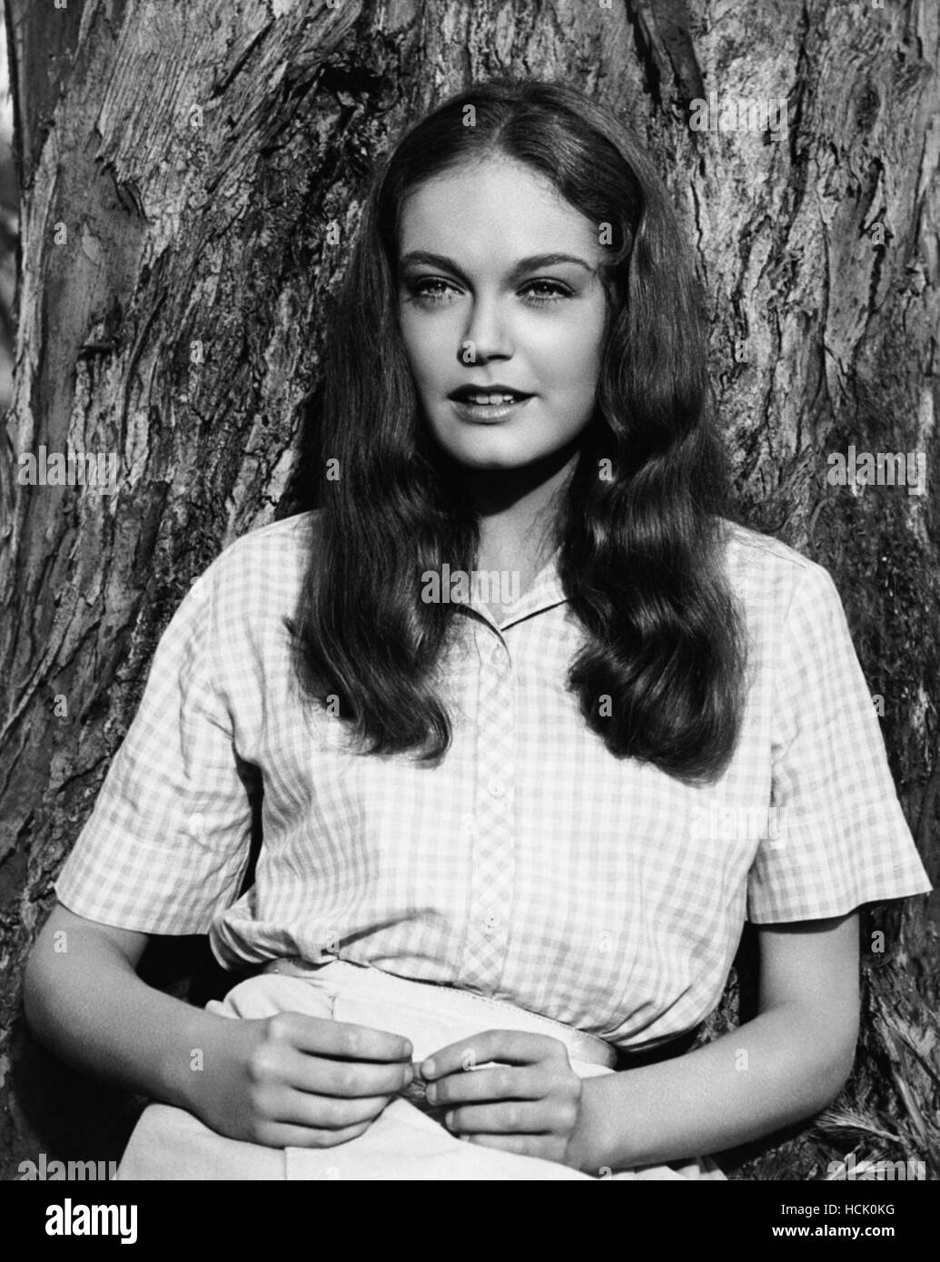 A PATCH OF BLUE, Elizabeth Hartman, 1965 Stock Photo - Alamy