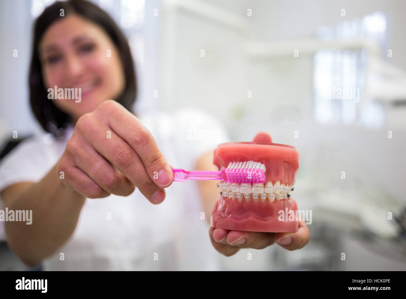 Dentist cleaning dental jaw model with a toothbrush Stock Photo - Alamy