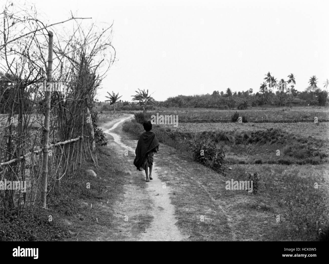 PATHER PANCHALI, Subir Banerjee, 1955 Stock Photo - Alamy