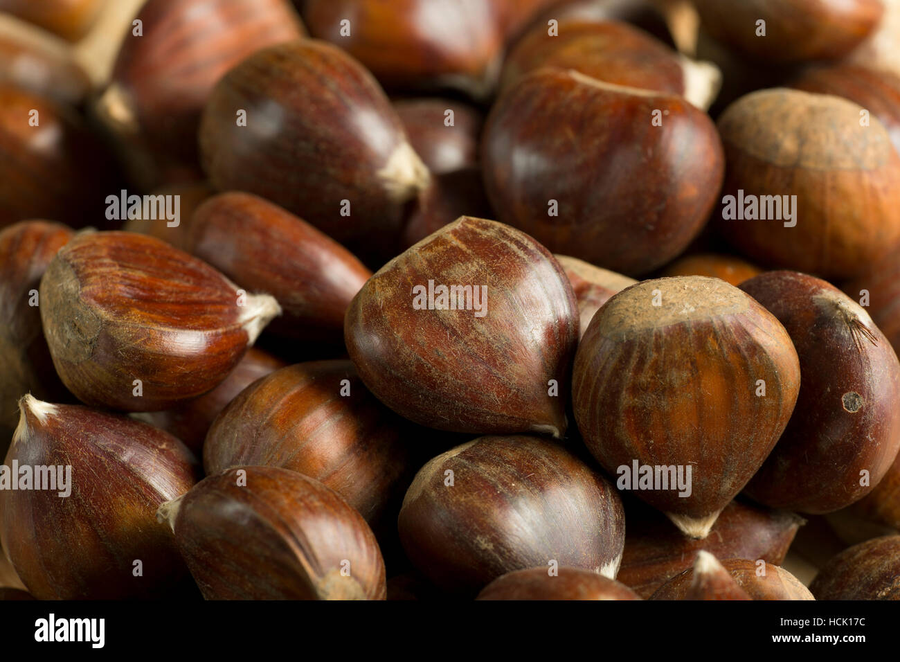 Chestnuts photographed close up, lighting with studio flax artificial ...