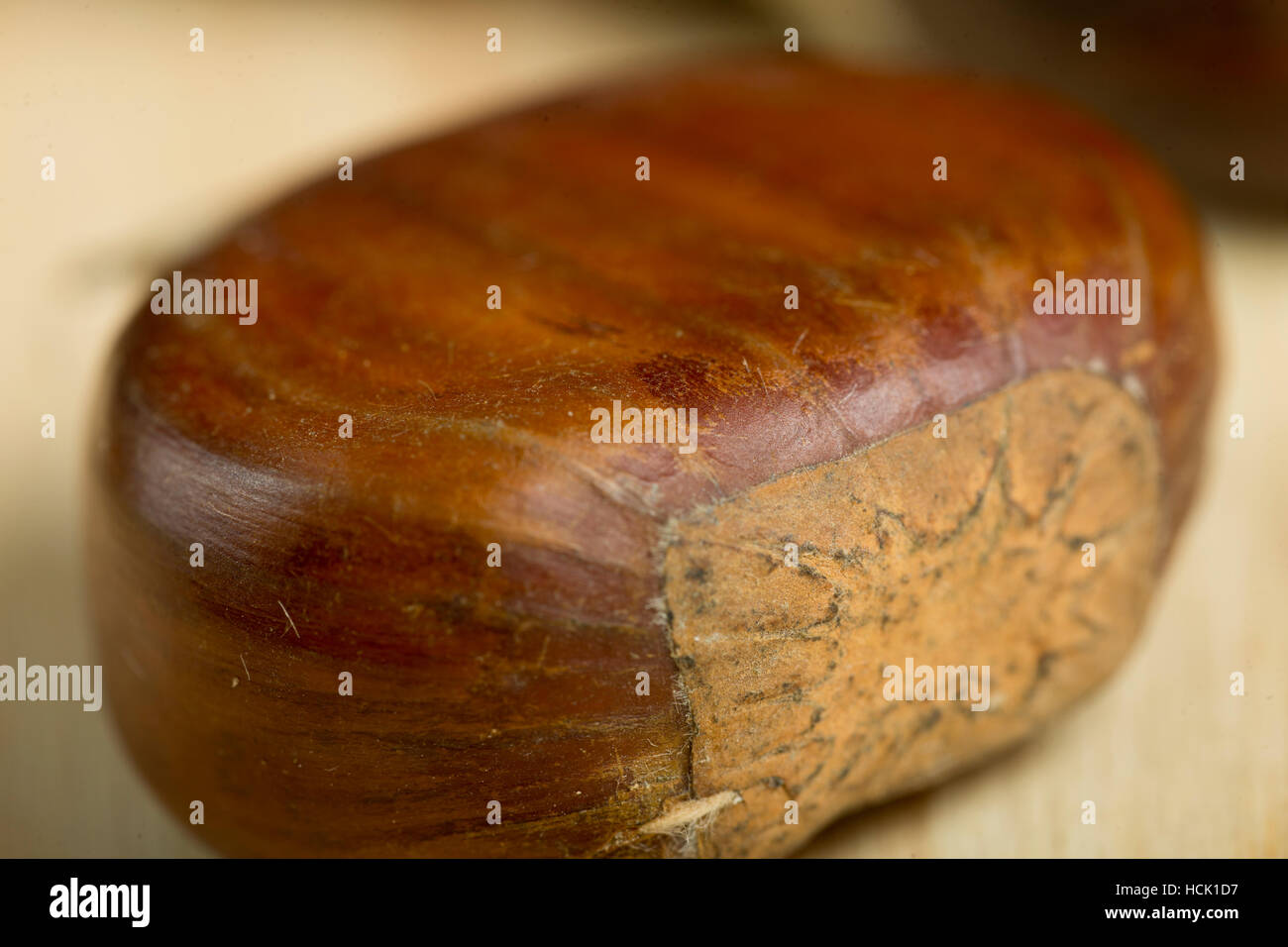 Chestnut close-up photograph, on pine wood background, illuminated with ...