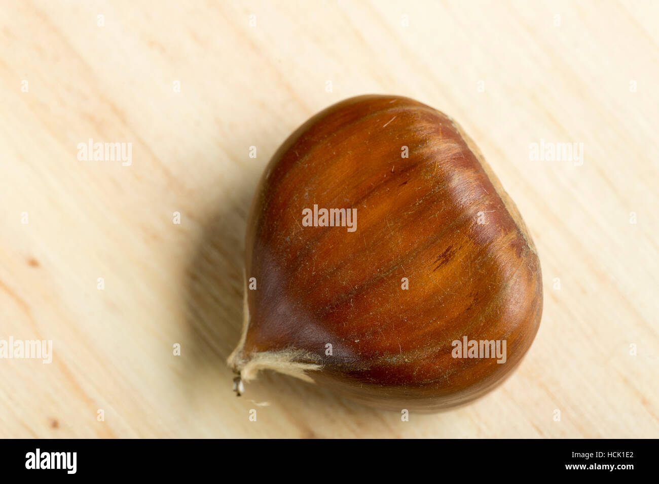 Chestnut close-up photograph, on pine wood background, illuminated with ...