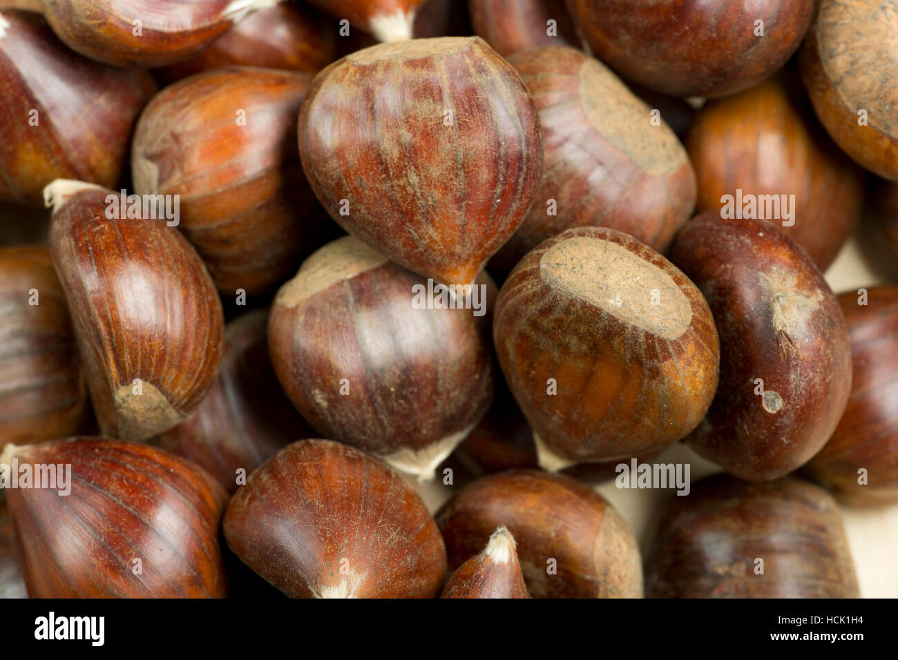 Chestnuts photographed close up, lighting with studio flax artificial ...