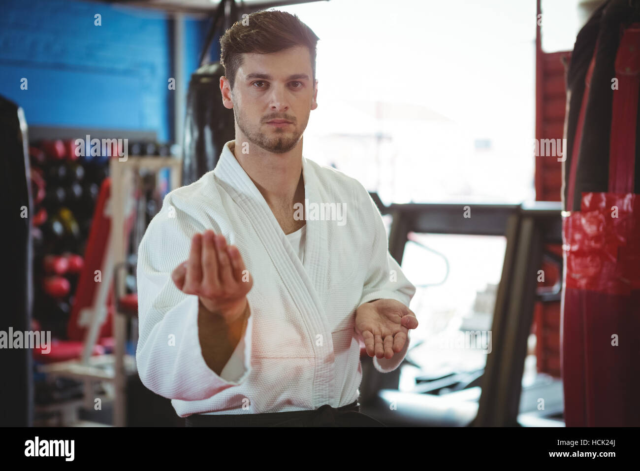Karate player performing karate stance Stock Photo - Alamy