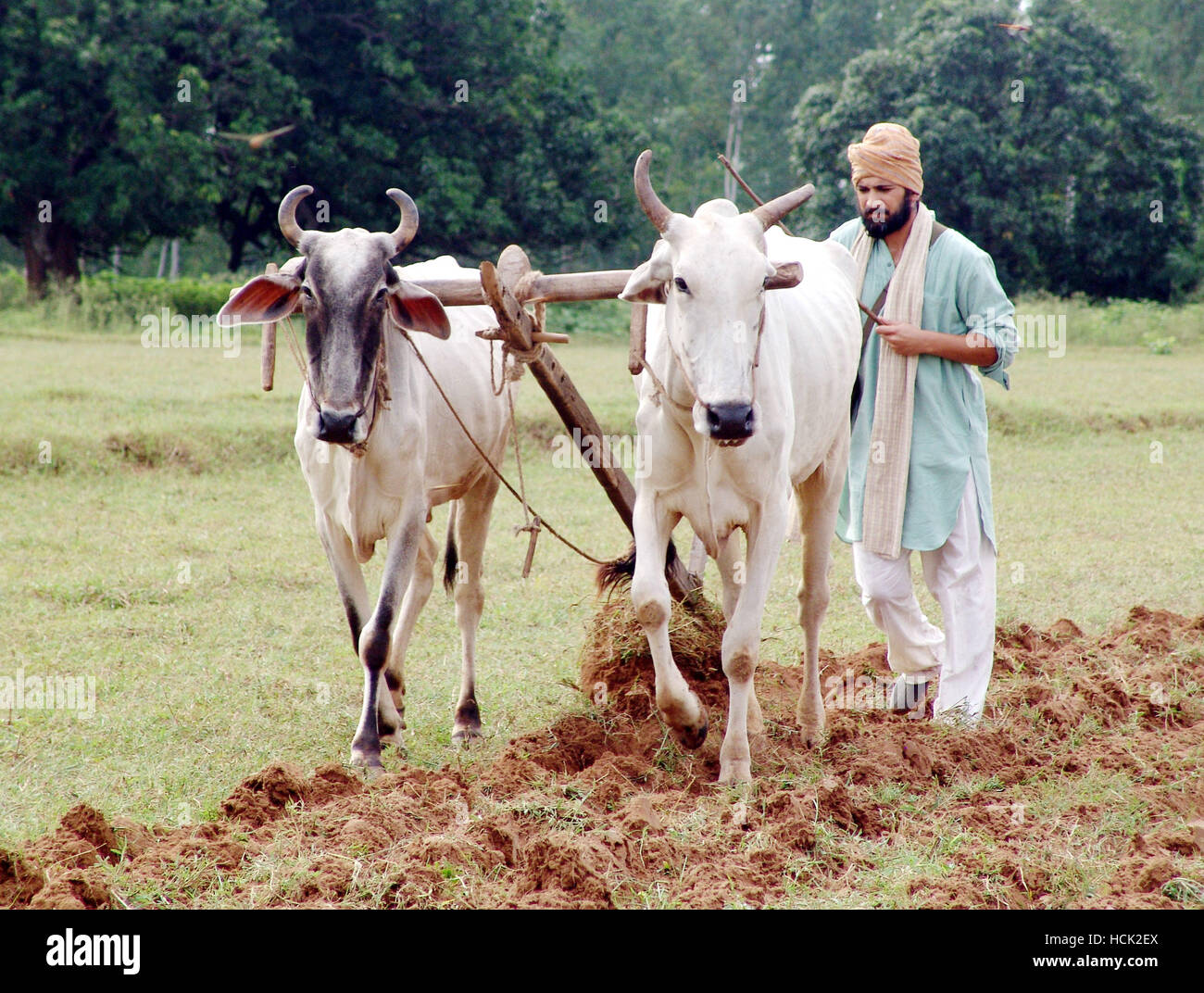PARTITION, Jimi Mistry, 2007. ©Myriad Pictures/Courtesy Everett ...