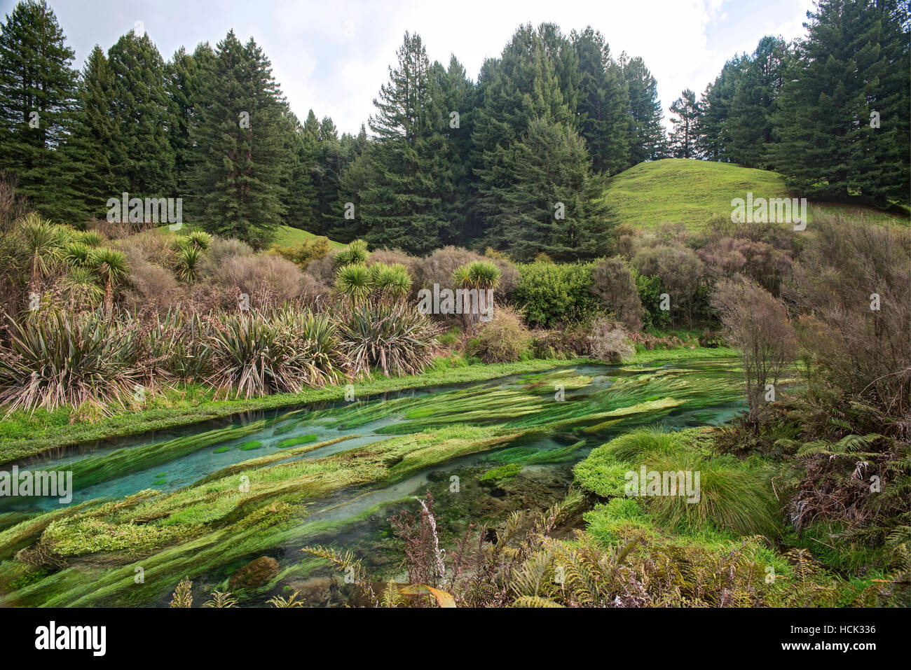 Middle earth new zealand hi-res stock photography and images - Alamy