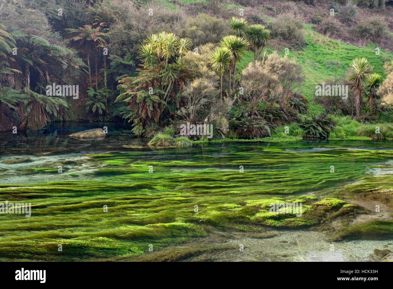 New zealand rivers hi-res stock photography and images - Alamy