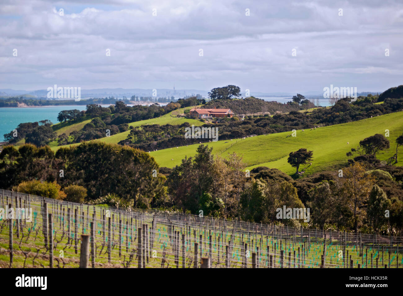Cable bay view waiheke hi-res stock photography and images - Alamy