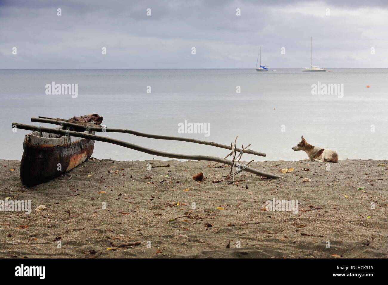 Old dugout fishing rowboat with outrigger stranded on the beach and dog ...
