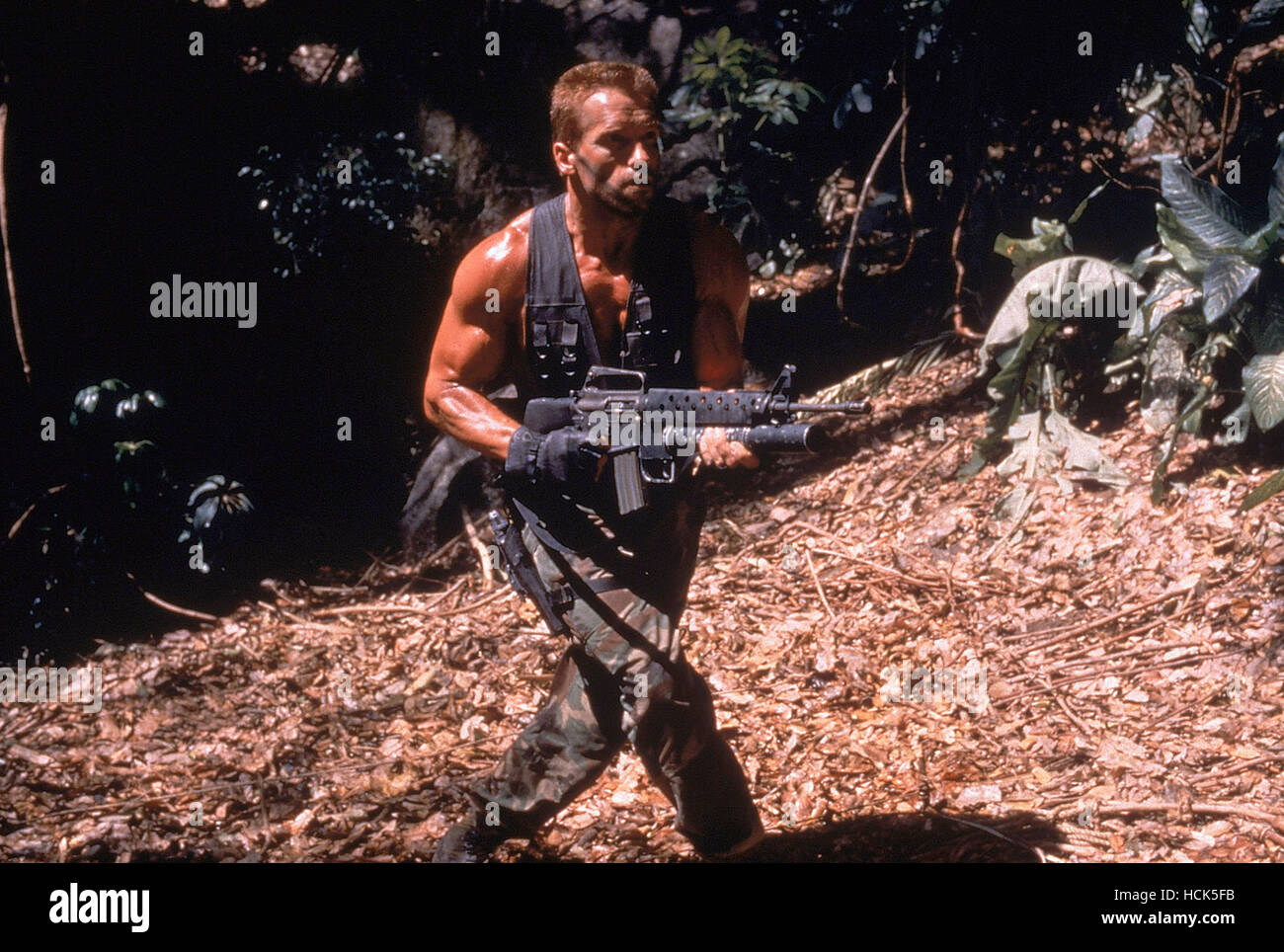 PREDATOR, Arnold Schwarzenegger, 1987. TM & Copyright ©20th Century Fox ...