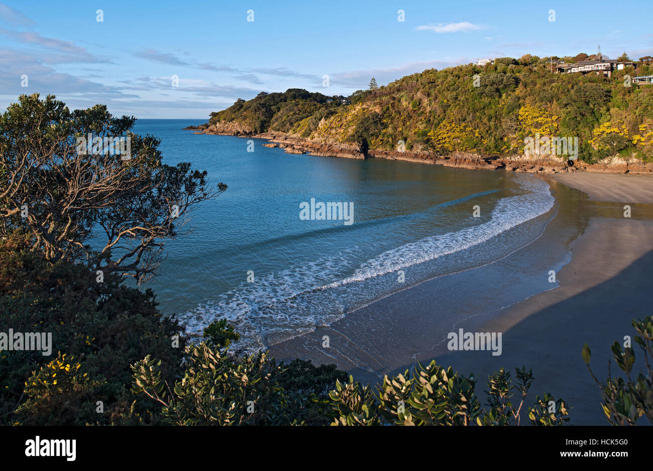 Little Oneroa Beach; Waiheke Island, New Zealand Stock Photo - Alamy