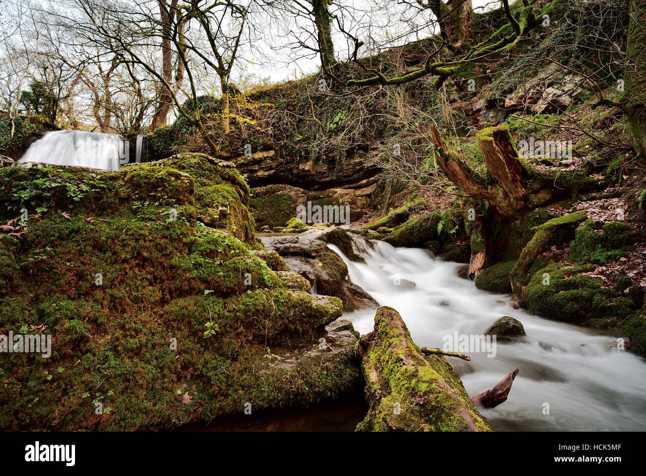 The waterfall of Janet's Foss, Malham Stock Photo - Alamy
