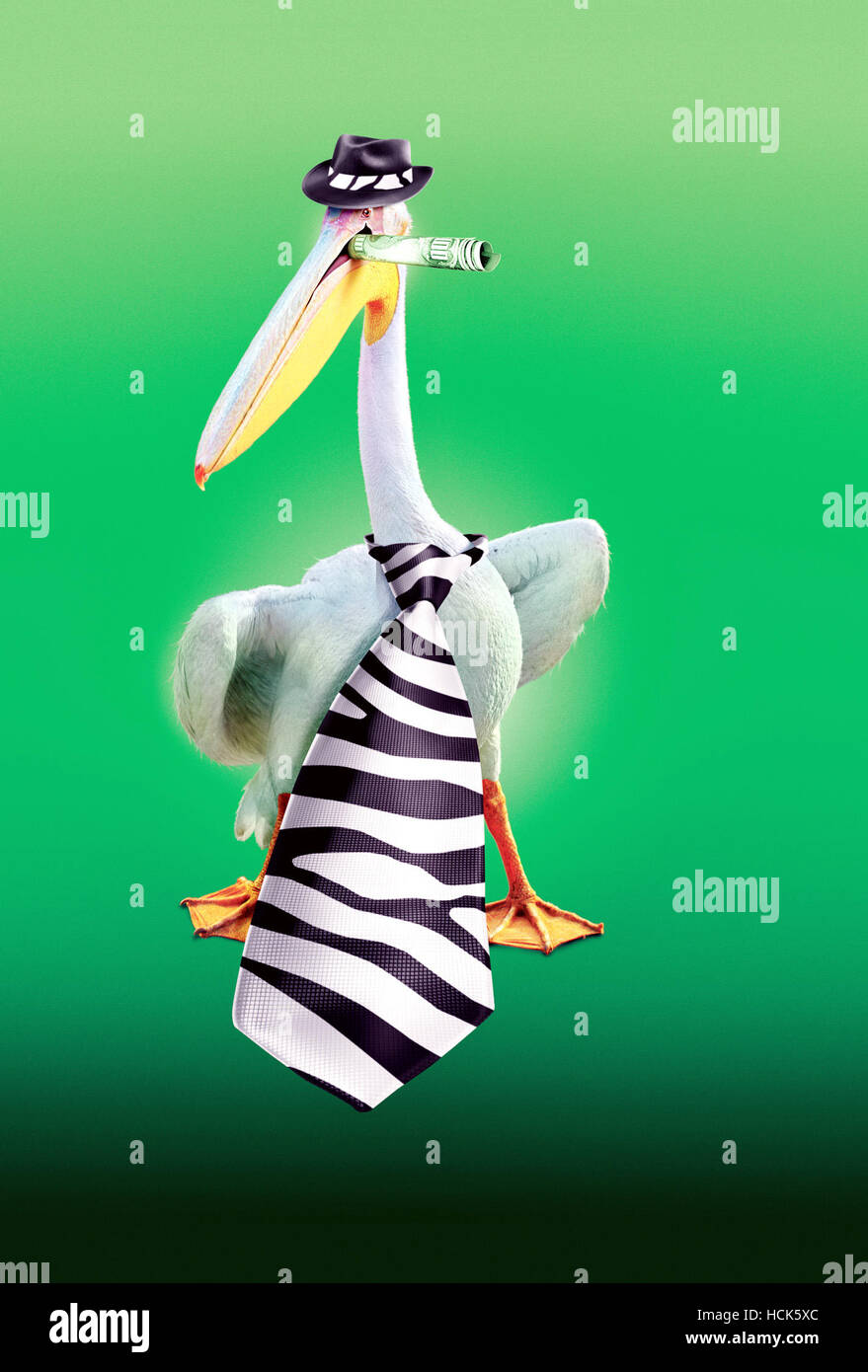 RACING STRIPES, Goose the pelican, 2005, (c) Warner Brothers/courtesy ...