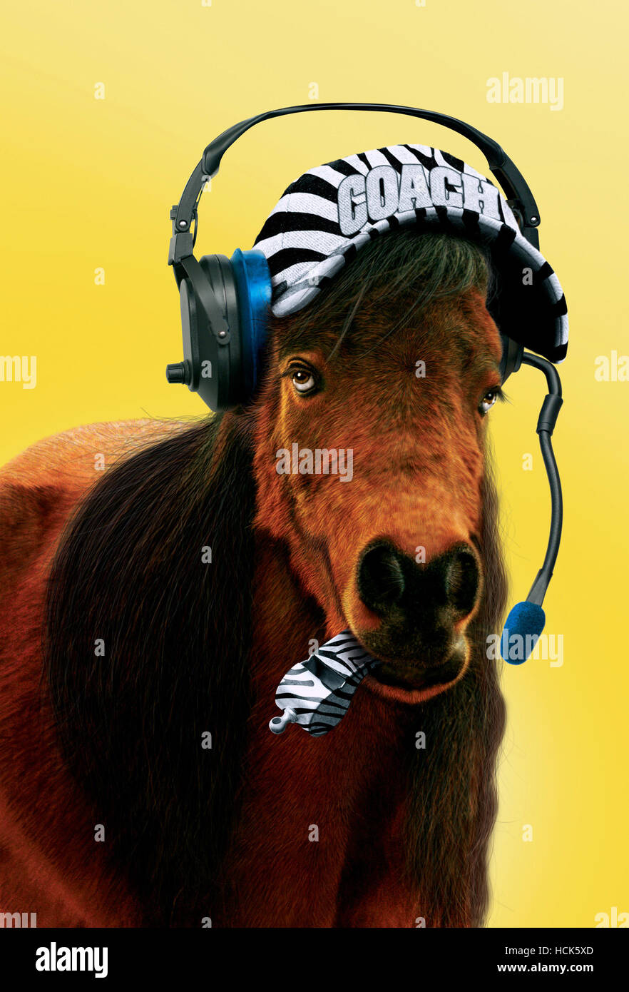 RACING STRIPES, Tucker the Shetland pony, 2005, (c) Warner Brothers ...