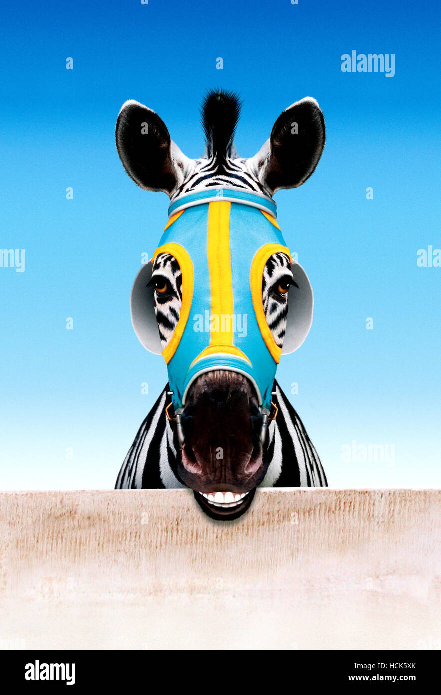 RACING STRIPES, Stripes the zebra, 2005, (c) Warner Brothers/courtesy ...