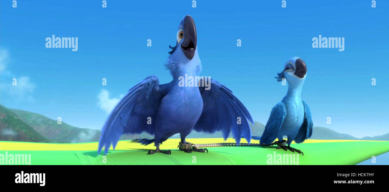 Marcel From Rio Voice