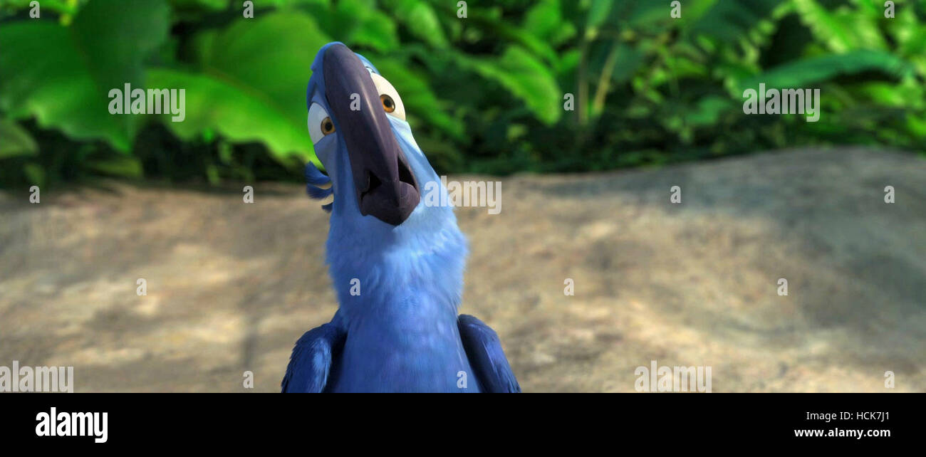 RIO, Blu (voice: Jesse Eisenberg), 2011, ph: Blue Sky Studios/TM and ...