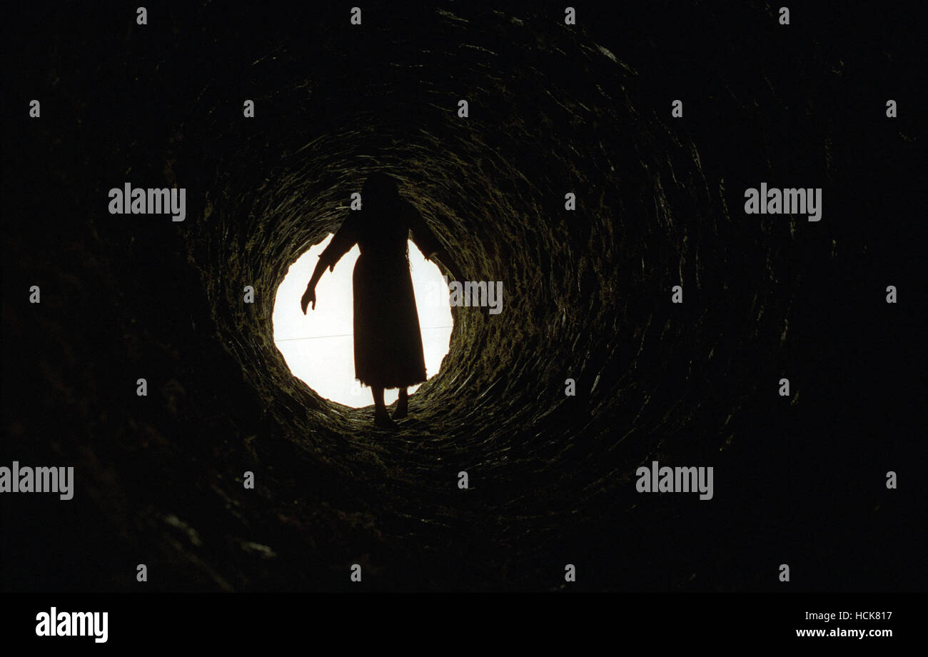 THE RING TWO, 2005, (c) DreamWorks/courtesy Everett Collection Stock ...