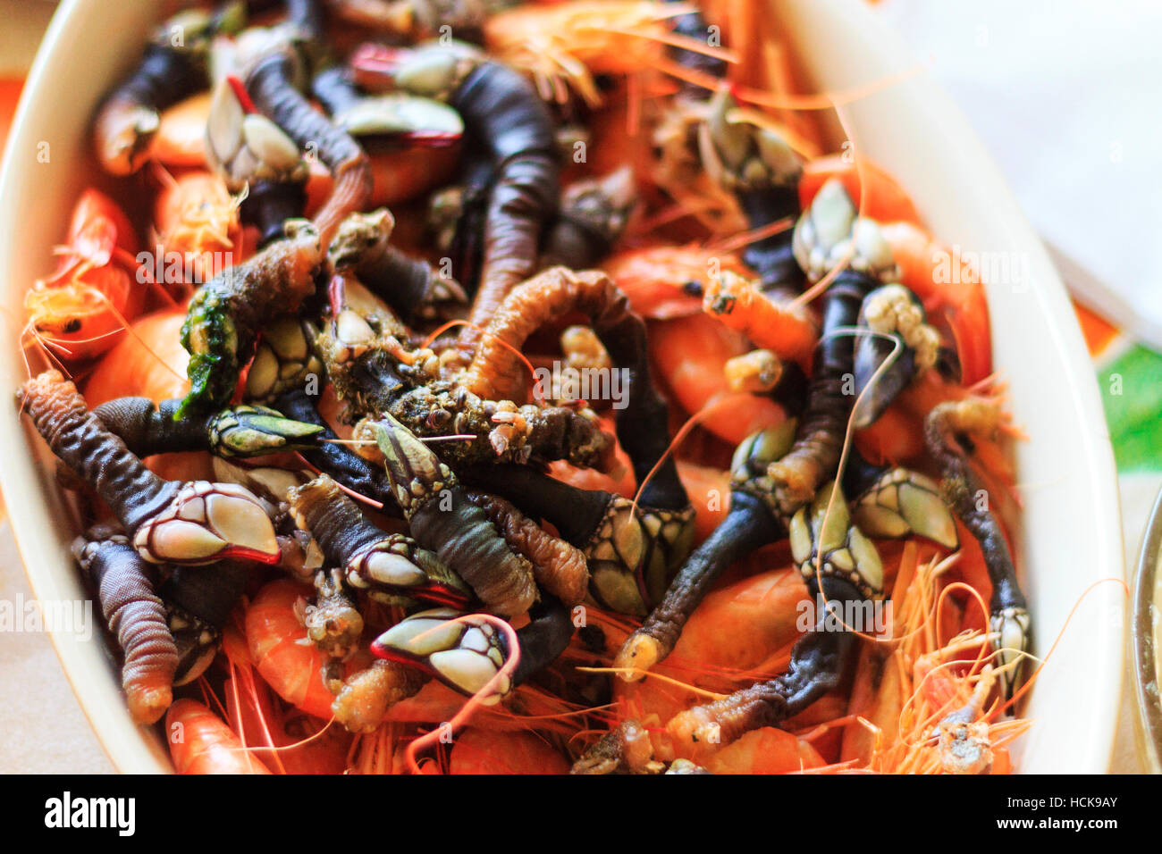 fresh goose barnacles of Costa Nova Porugal atlantic coast, Pedunculata ...