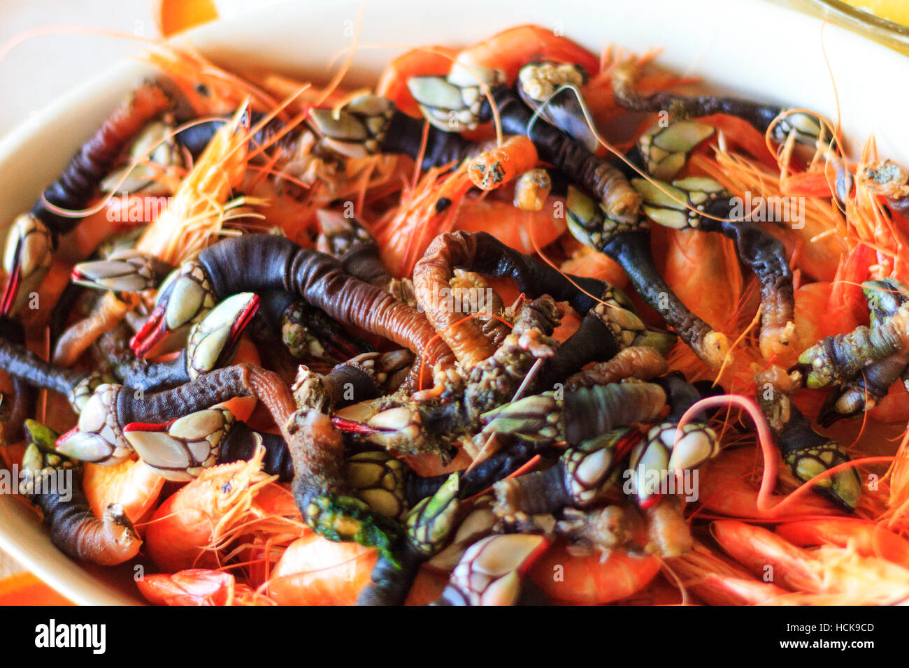 tray with just cooked fresh barnacles, Pedunculata,sea food, a delicacy ...