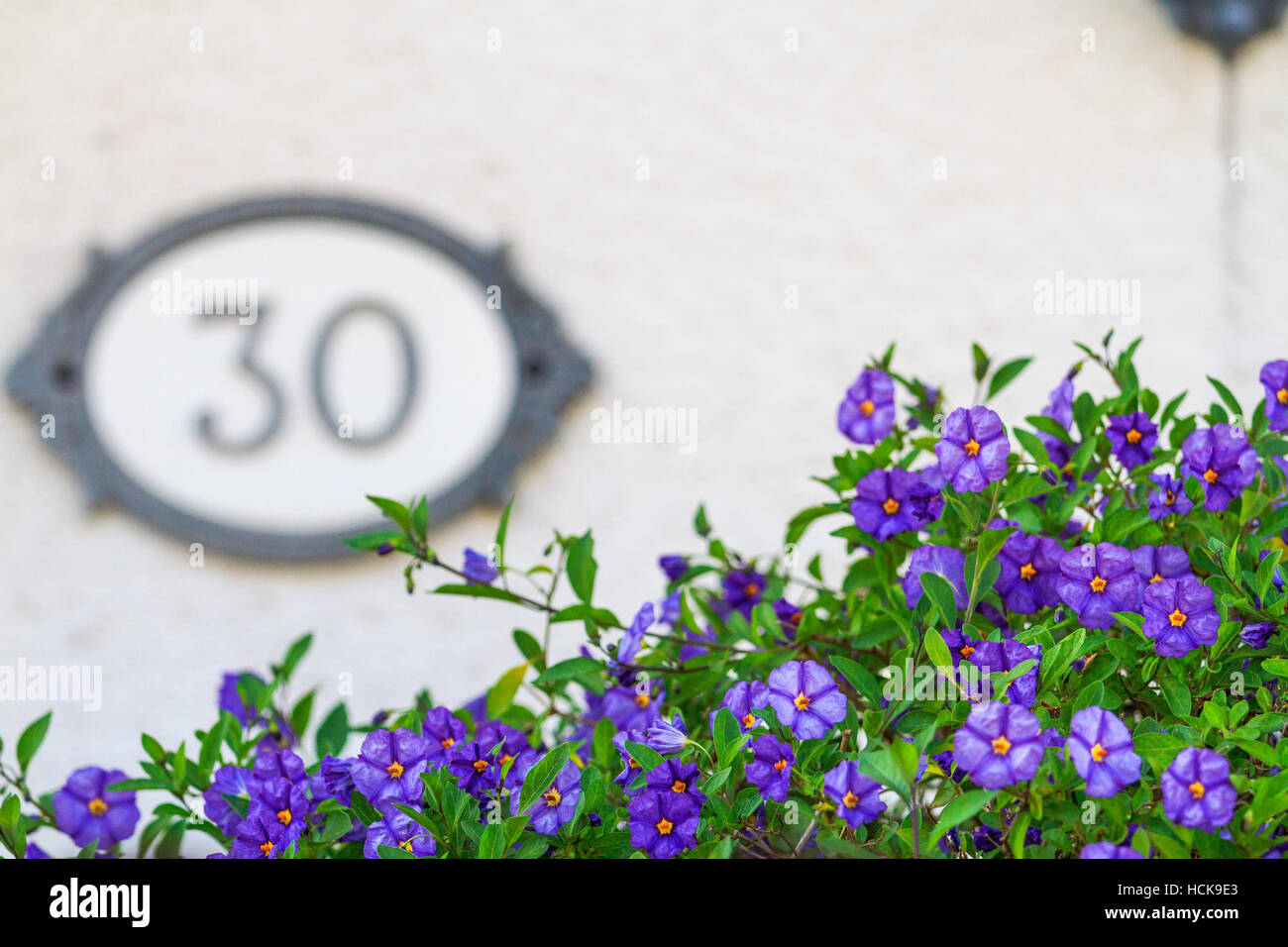 number 30 house and blue flowers,private house, fence, garden Stock ...
