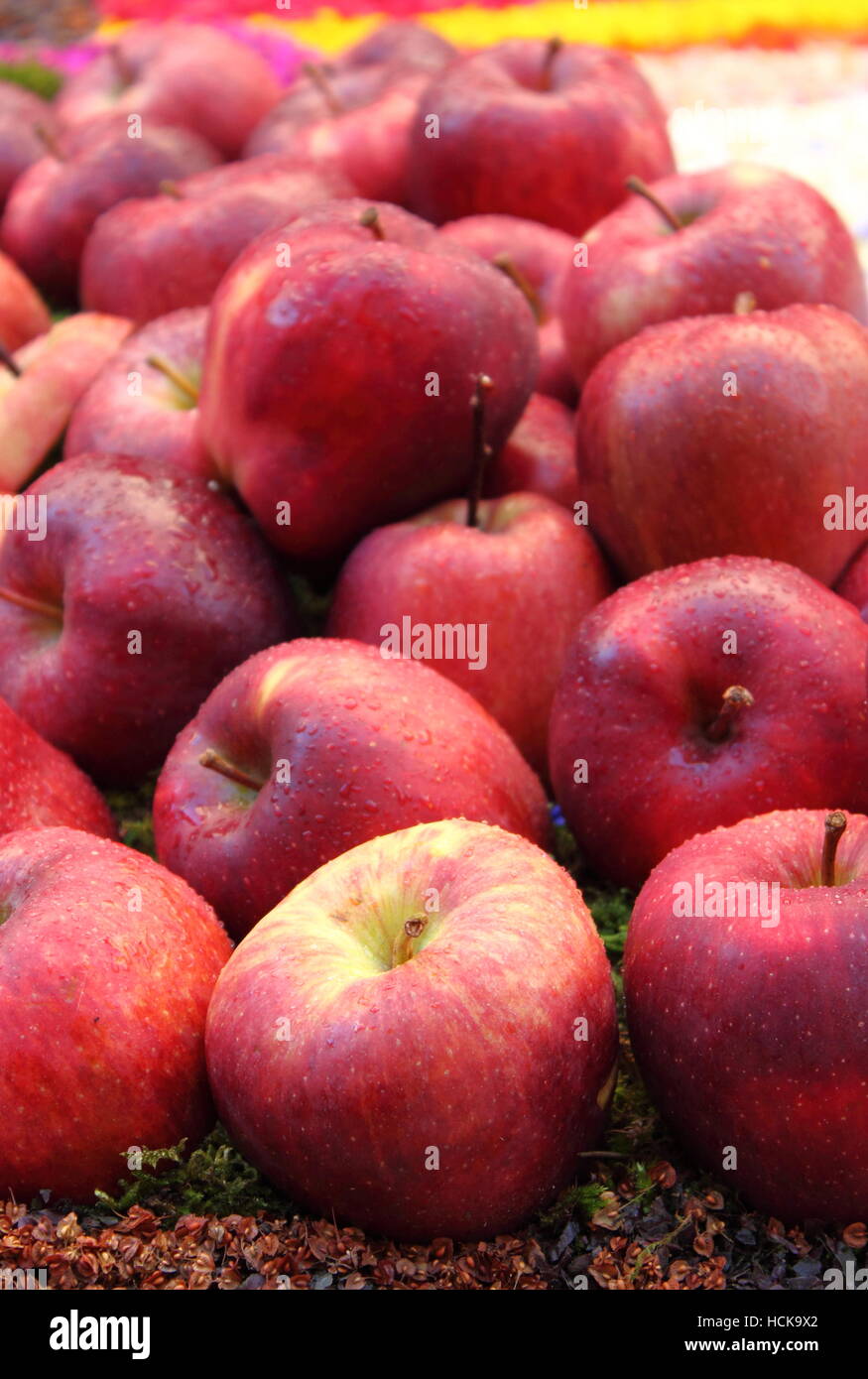 Multi colored apples hi-res stock photography and images - Alamy