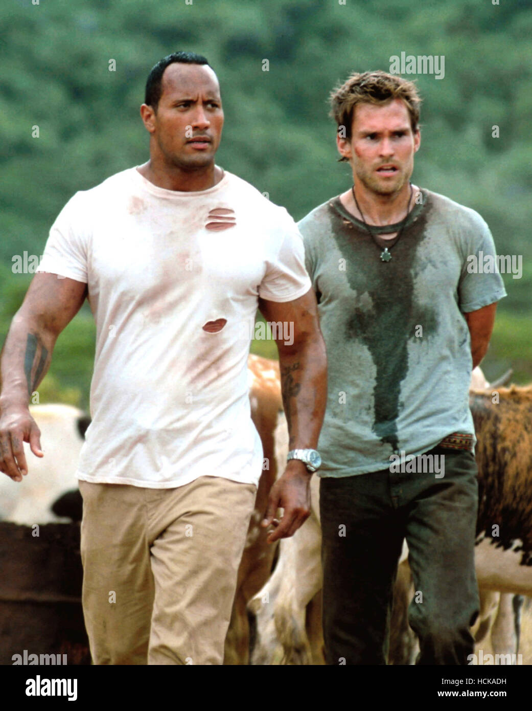 THE RUNDOWN, The Rock, Seann William Scott, 2003, (c) Universal ...