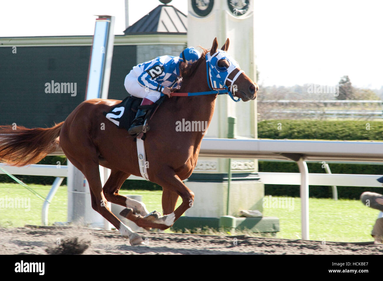 SECRETARIAT, 2010. ©Walt Disney Pictures/courtesy Everett Collection ...