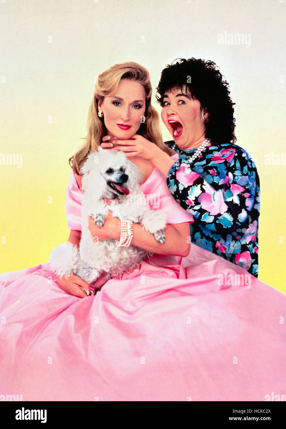 SHE-DEVIL, Meryl Streep, Roseanne, 1989, (c) Orion/courtesy Everett ...