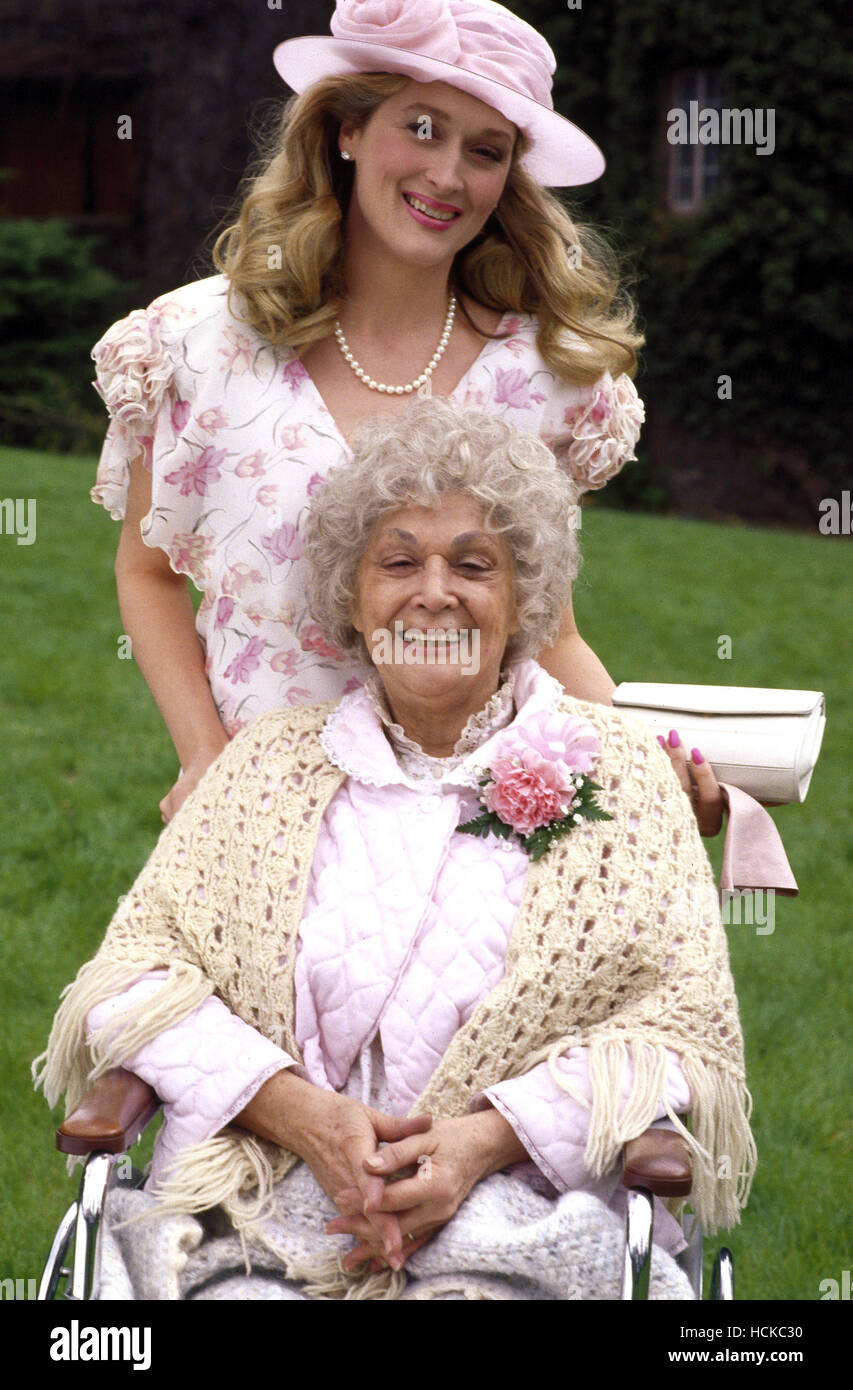 SHE-DEVIL, Meryl Streep, Sylvia Miles, 1989, (c) Orion/courtesy Everett ...