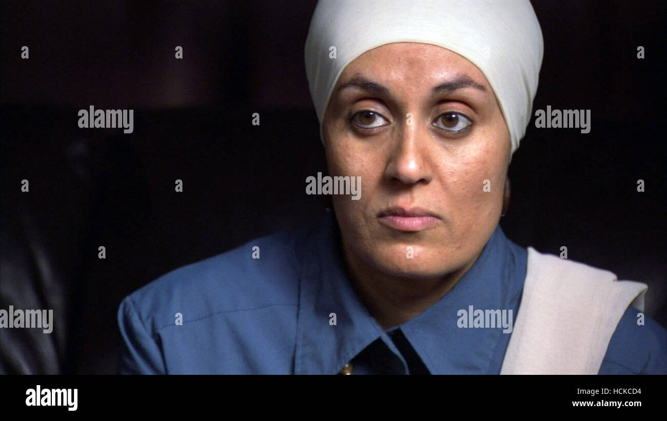 SHOUTING FIRE: STORIES FROM THE EDGE OF FREE SPEECH, 2009 Stock Photo ...