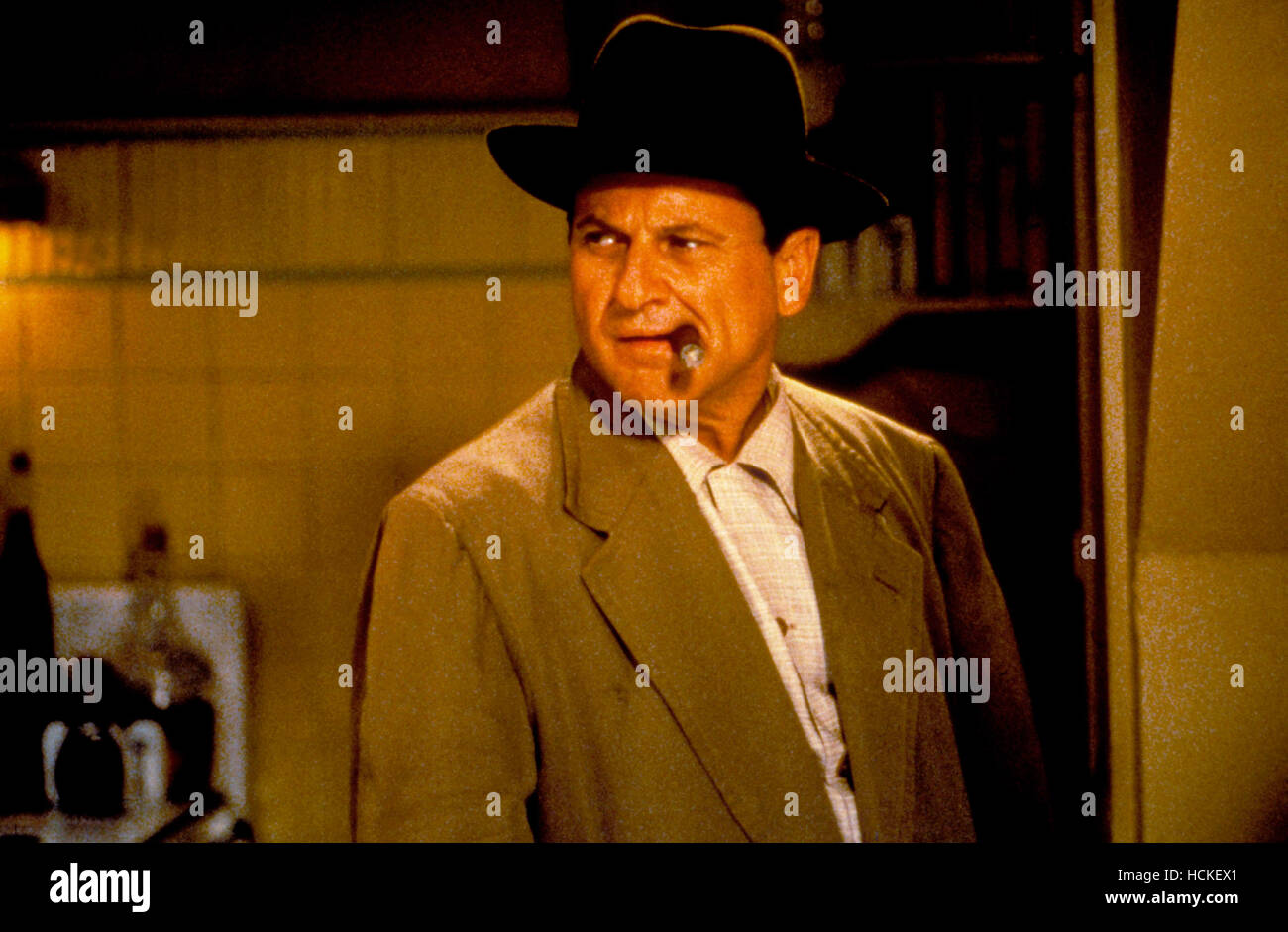 THE PUBLIC EYE, Joe Pesci, 1992, © Universal/courtesy Everett ...