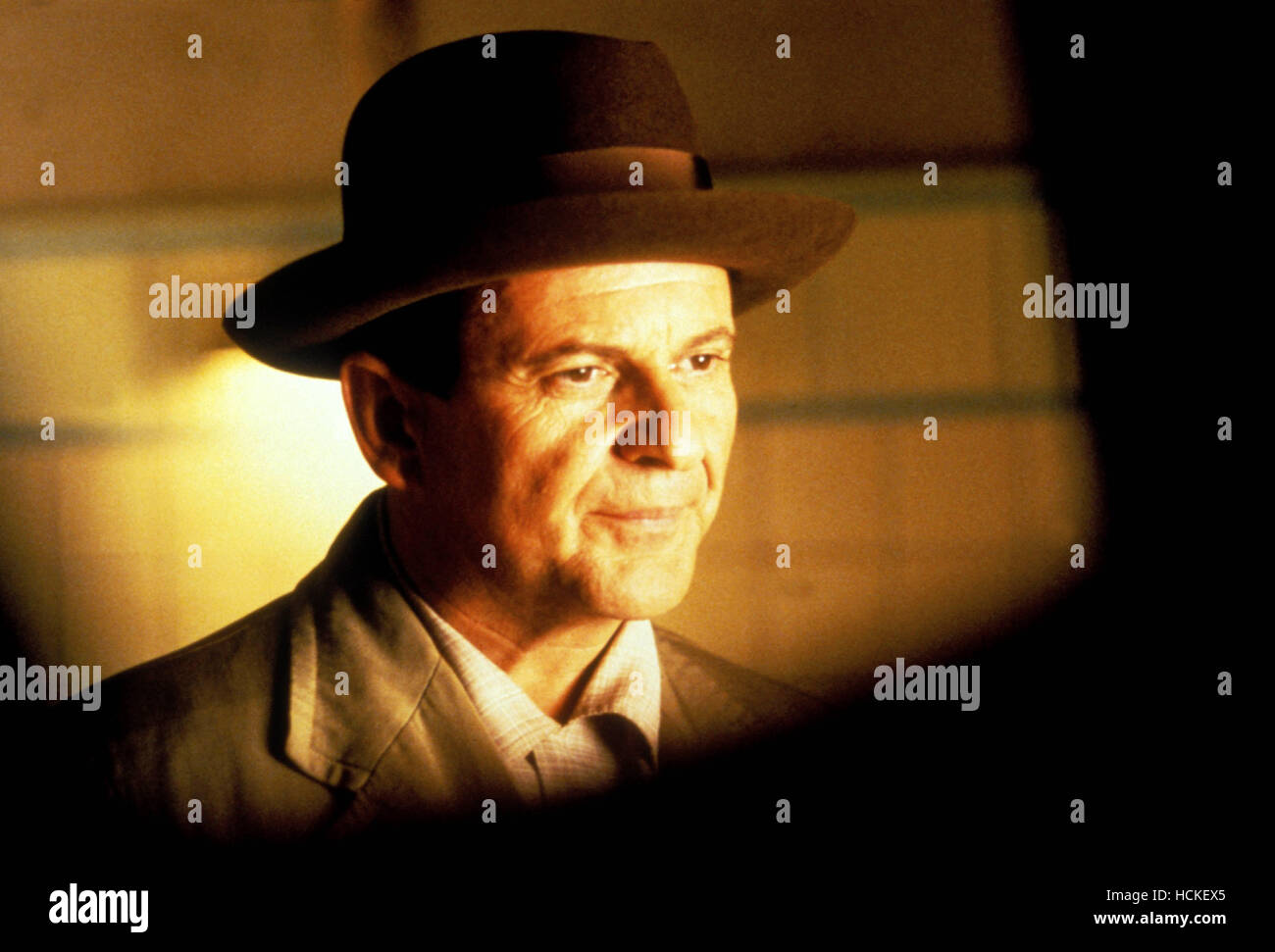 THE PUBLIC EYE, Joe Pesci, 1992, © Universal/courtesy Everett ...