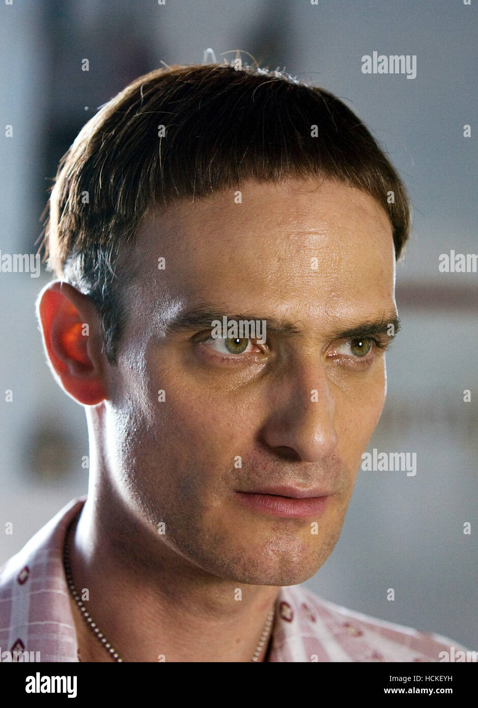 QUANTUM OF SOLACE, Anatole Taubman, 2008. ©MGM/courtesy Everett ...