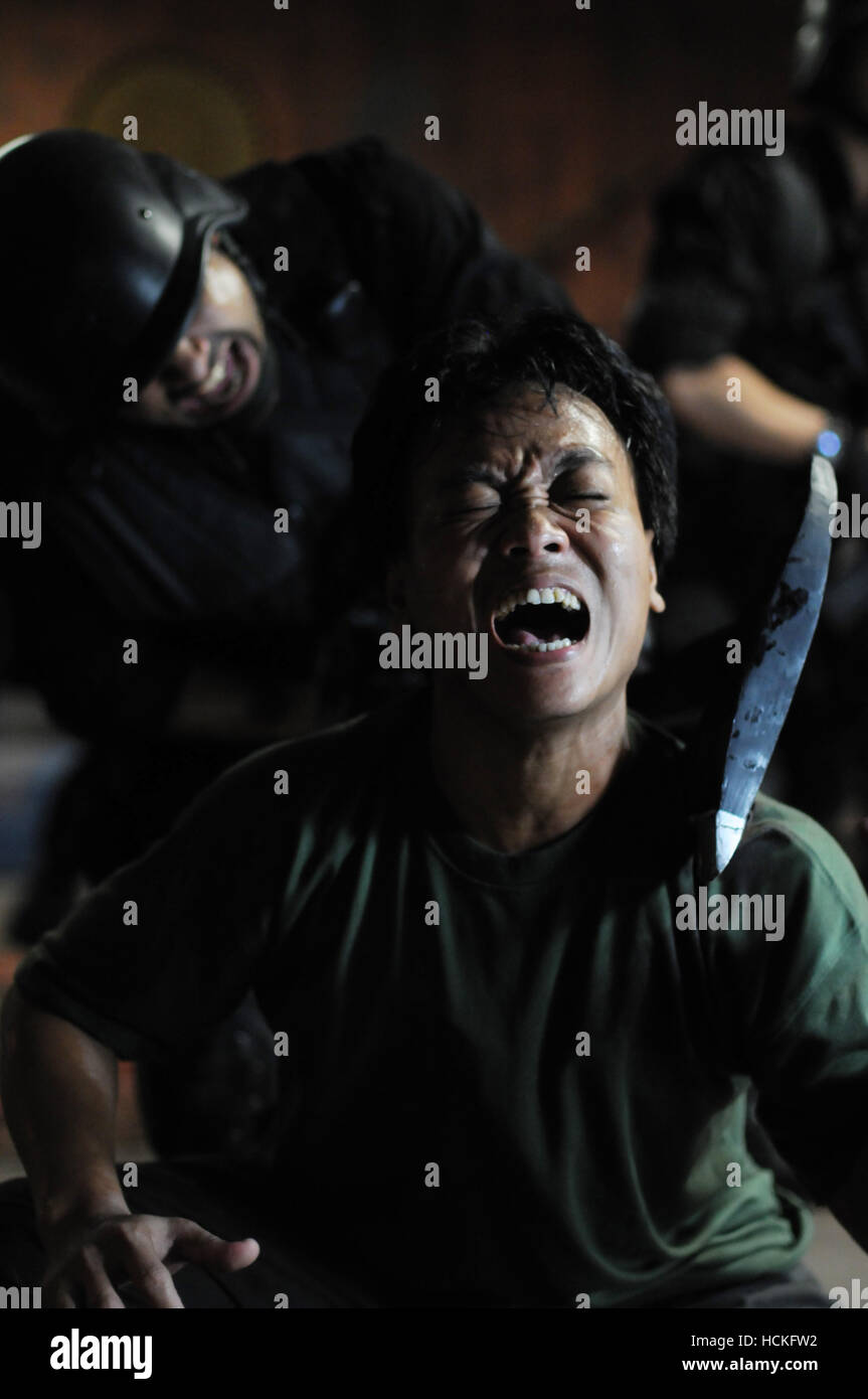 THE RAID: REDEMPTION, (aka THE RAID, aka SERBUAN MAUT), 2011. ph ...
