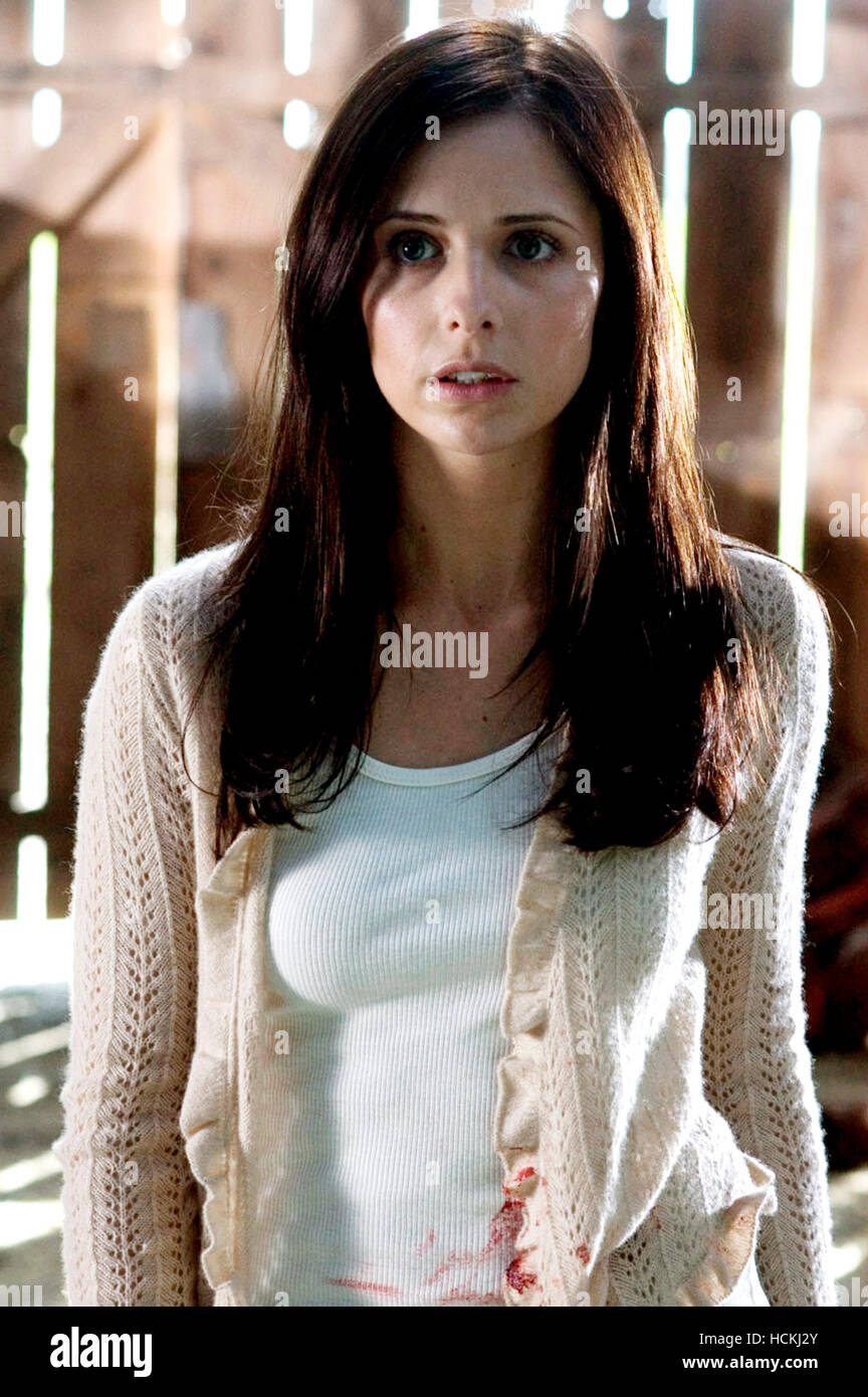 THE RETURN, Sarah Michelle Gellar, 2006. ©Rogue Pictures/courtesy ...