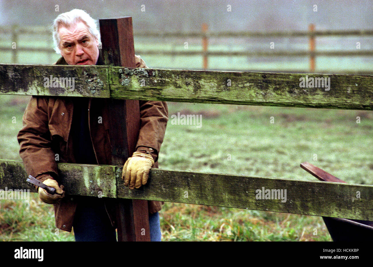 THE RING, Brian Cox, 2002, (c) DreamWorks/courtesy Everett Collection ...