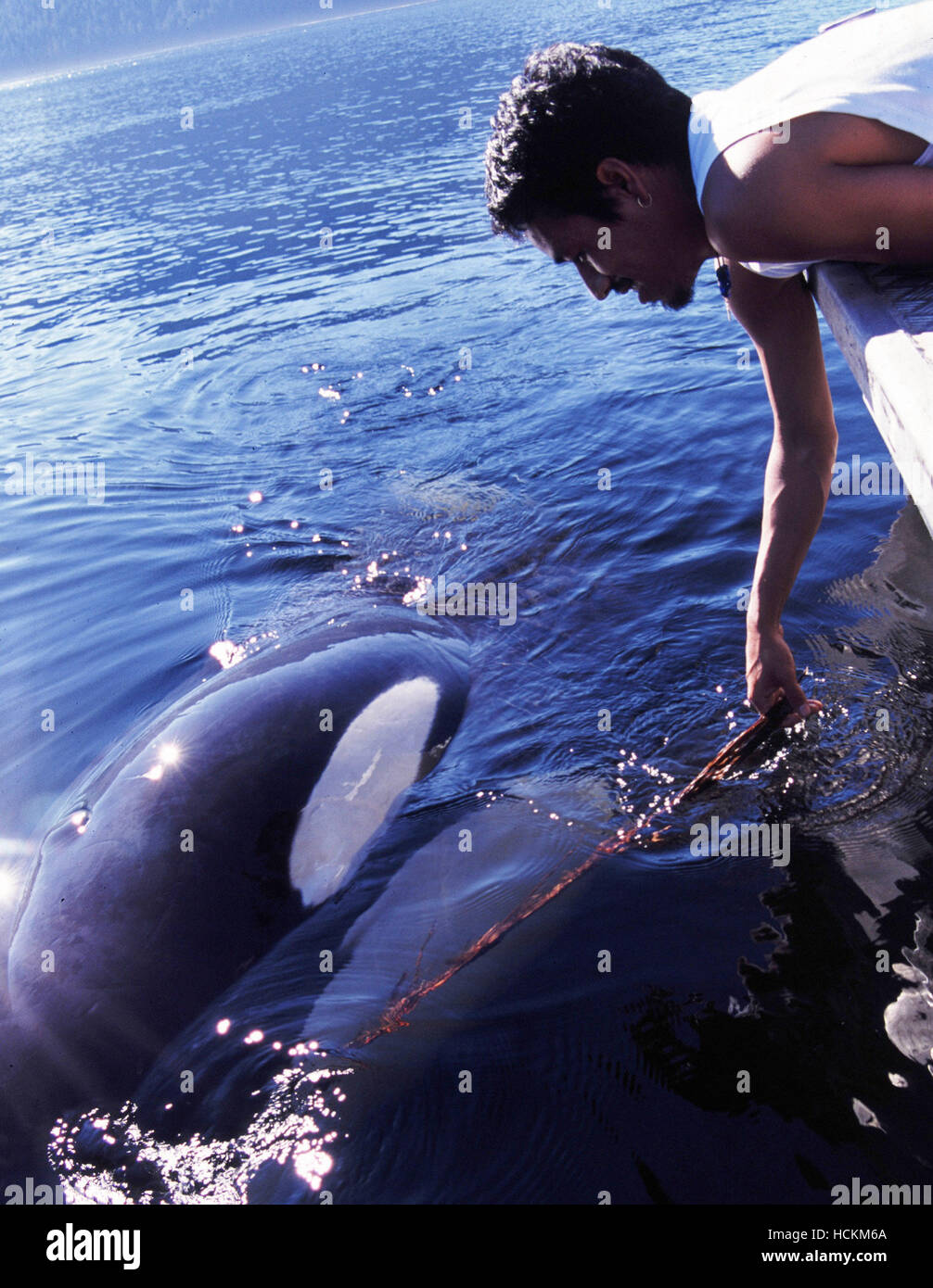 SAVING LUNA, 2007. ©Kinosmith/Courtesy Everett Collection Stock Photo ...