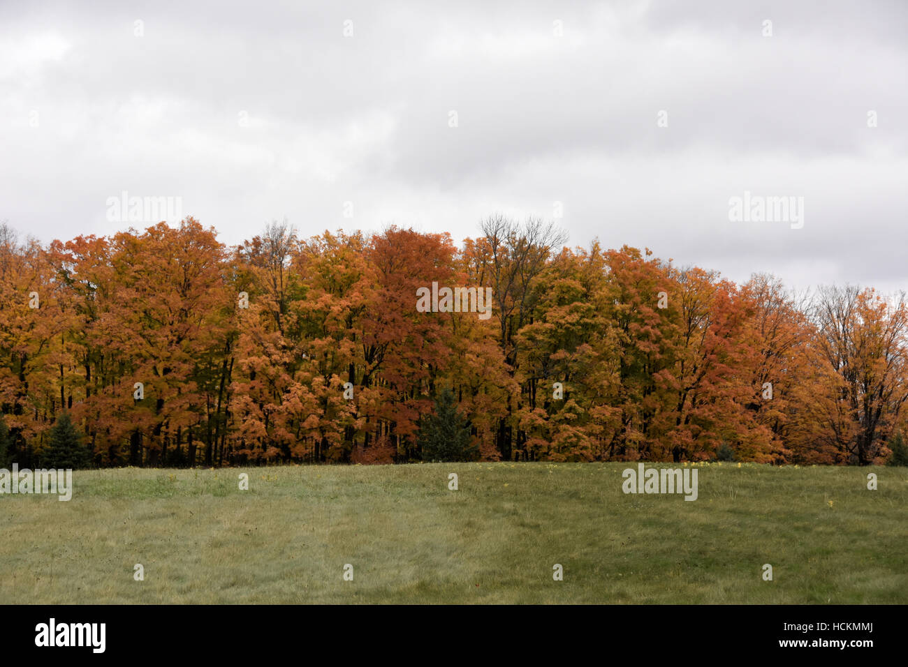 Chippewa national forest hi-res stock photography and images - Alamy