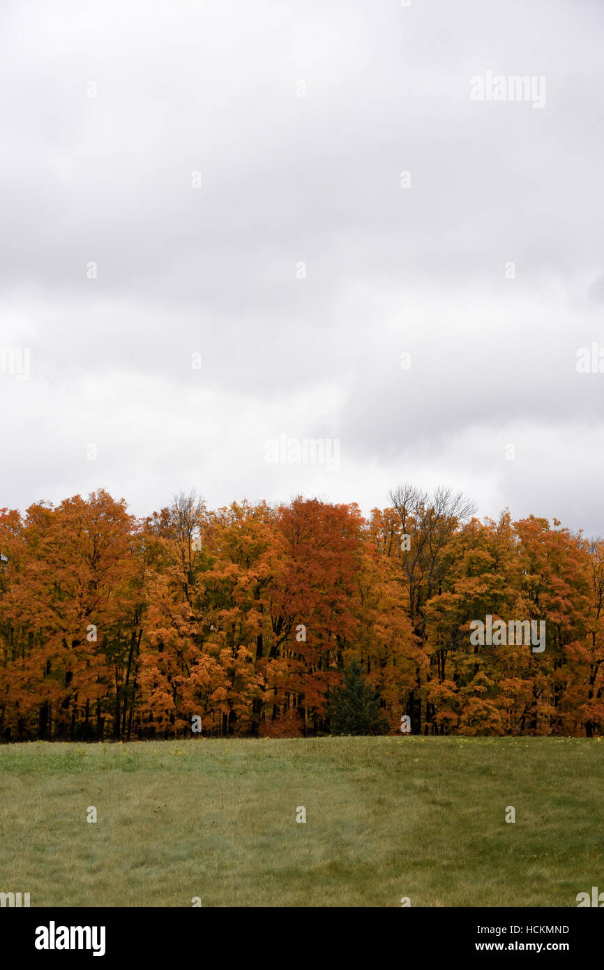 Clam falls hi-res stock photography and images - Alamy