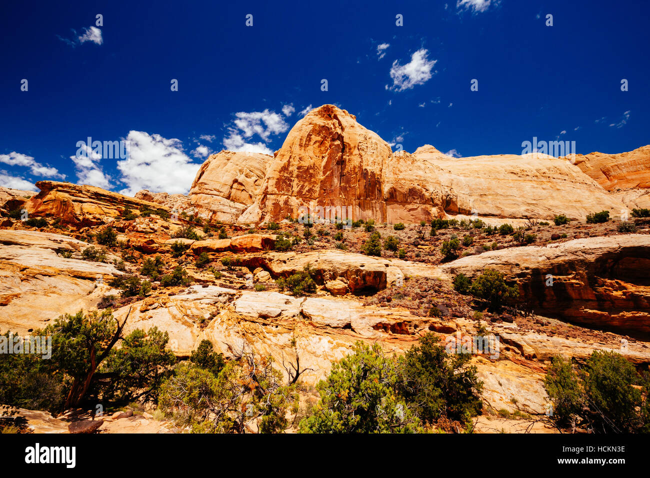 The trail to Hickman Bridge is Capitol Reef National Parks most popular ...