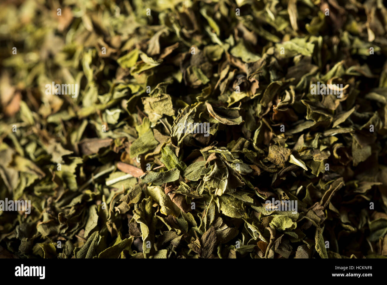 Culinary herbs herb mint mentha hi-res stock photography and images - Alamy